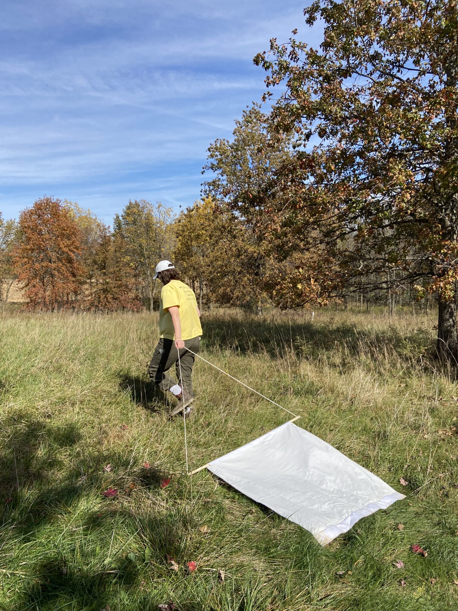 WCPH conducting tick dragging in county to monitor populations ...
