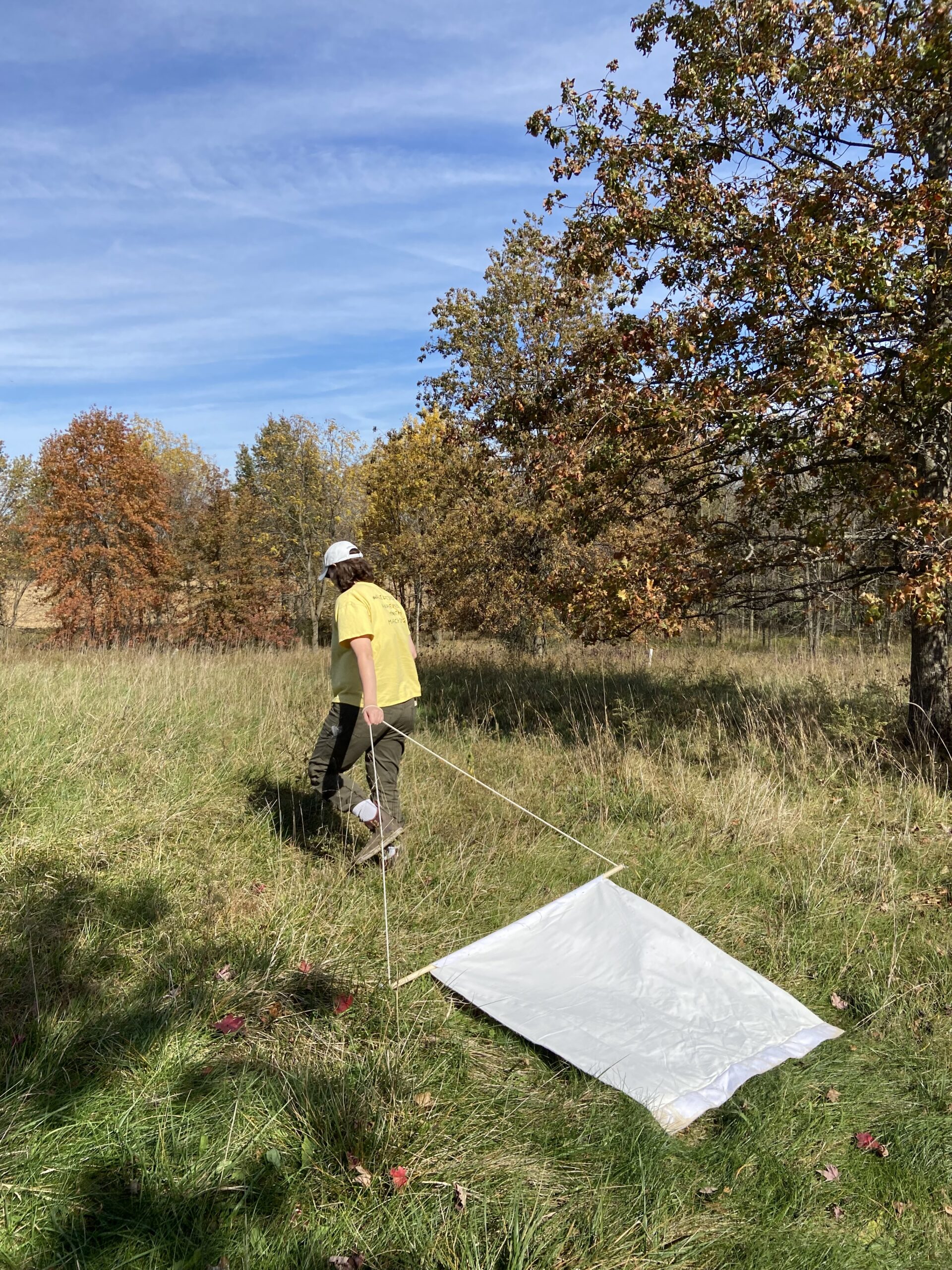WCPH conducting tick dragging in county to monitor populations ...